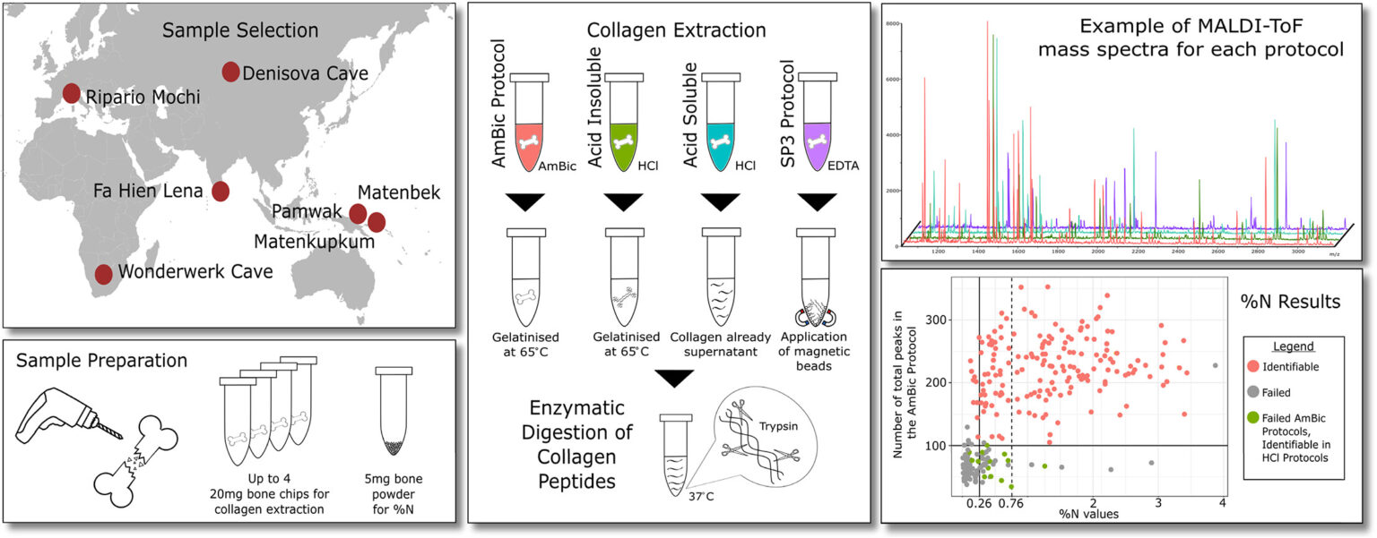 Democratisation of ZooMS: Jena lab protocols published